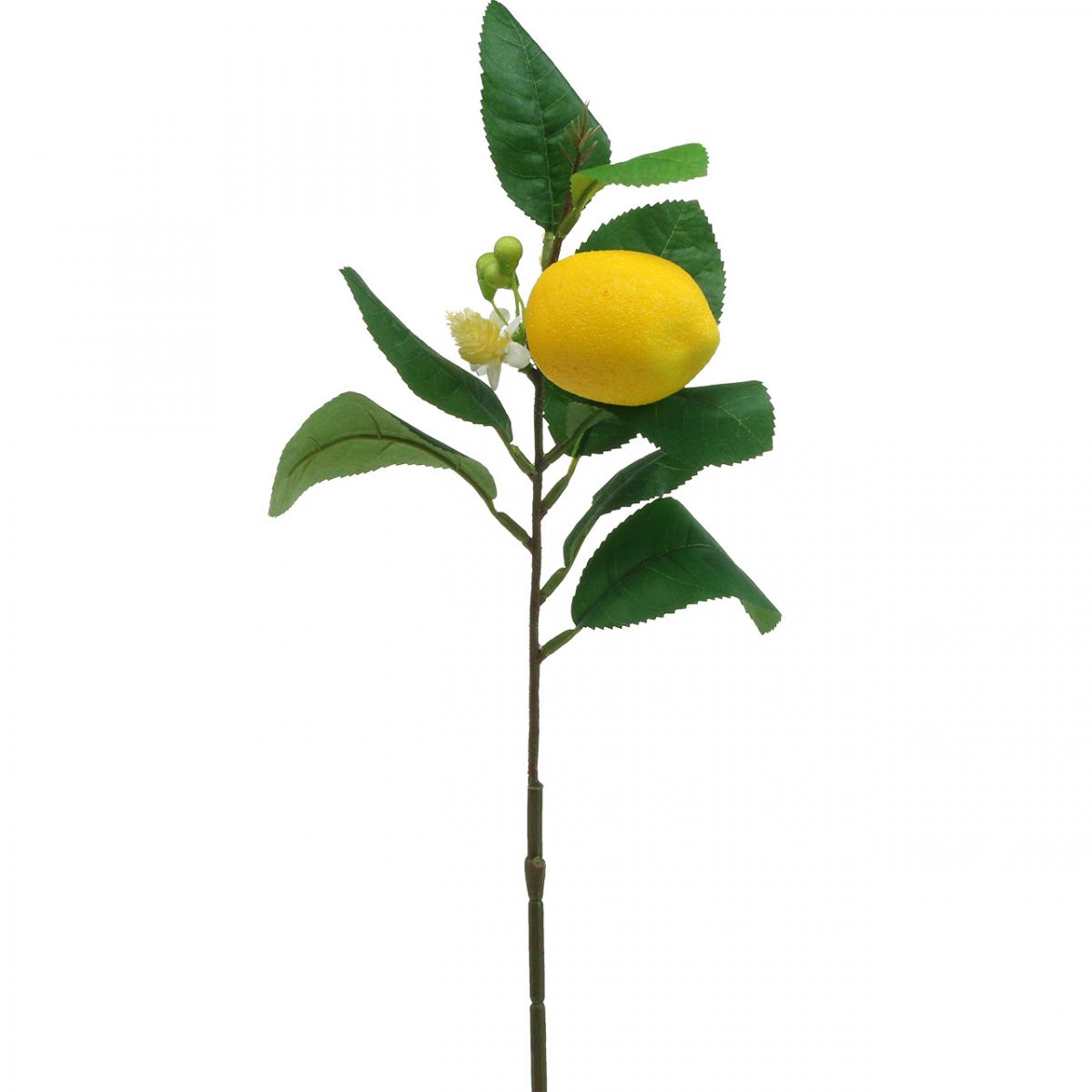 Floristik24.es Deco rama limón artificial rama de limón 42cm 3pcs-520169-32